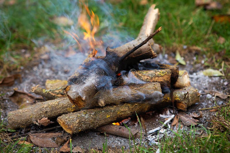 Bonfire, Firewood Close Up. Burning Fire from Stacked Logs Stock Image ...