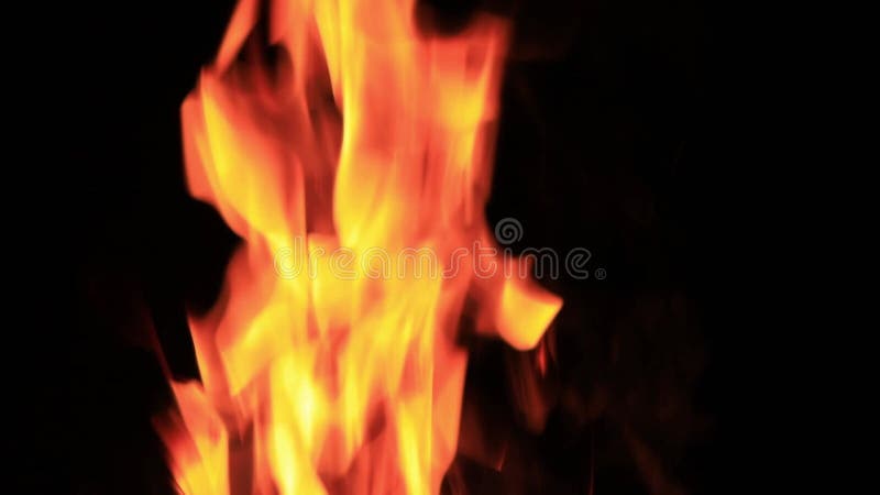 Bonfire Flame on a Black Background. Stock Video - Video of explosion ...