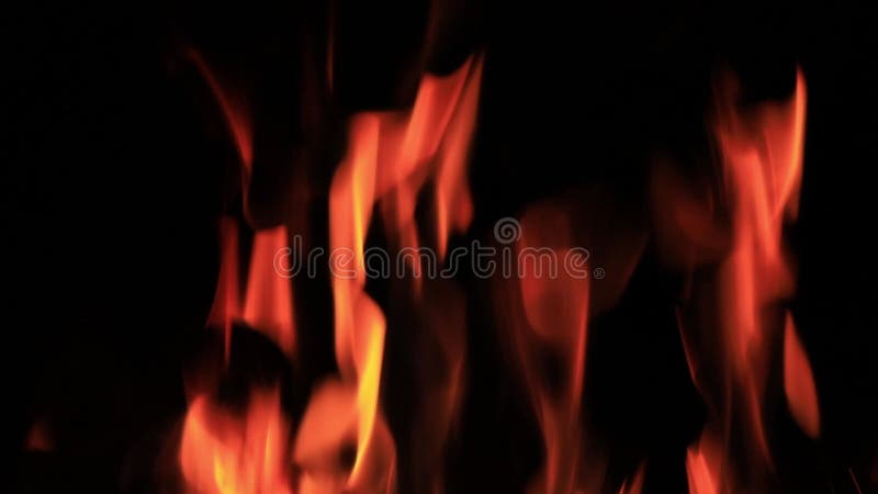 Bonfire Flame on a Black Background. Stock Video - Video of explosion ...