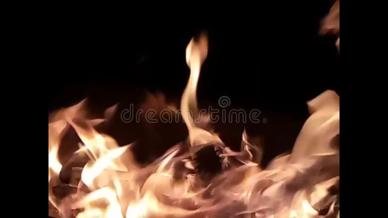 Bonfire flame in the wind stock video. Video of warm - 161652677