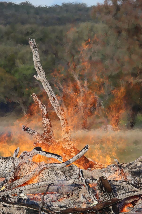 The Heart of the Bonfire stock image. Image of flames - 293123885