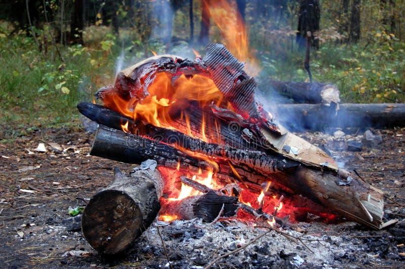 Bonfire in the forest stock photo. Image of ashes, sticks - 7629886