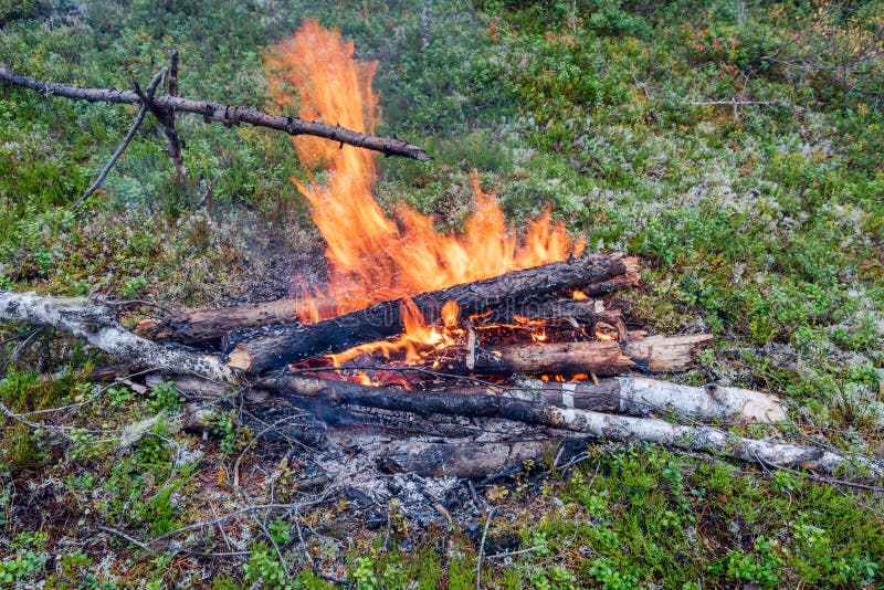 Bonfire in forest, camp stock image. Image of blaze, effects - 14359487