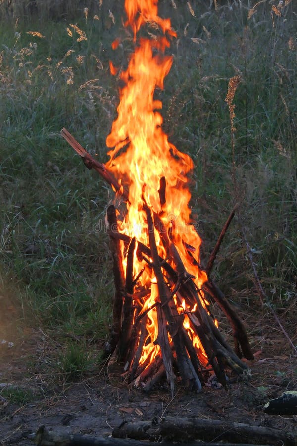 Bonfire in the forest stock photo. Image of fiery, hike - 129670046