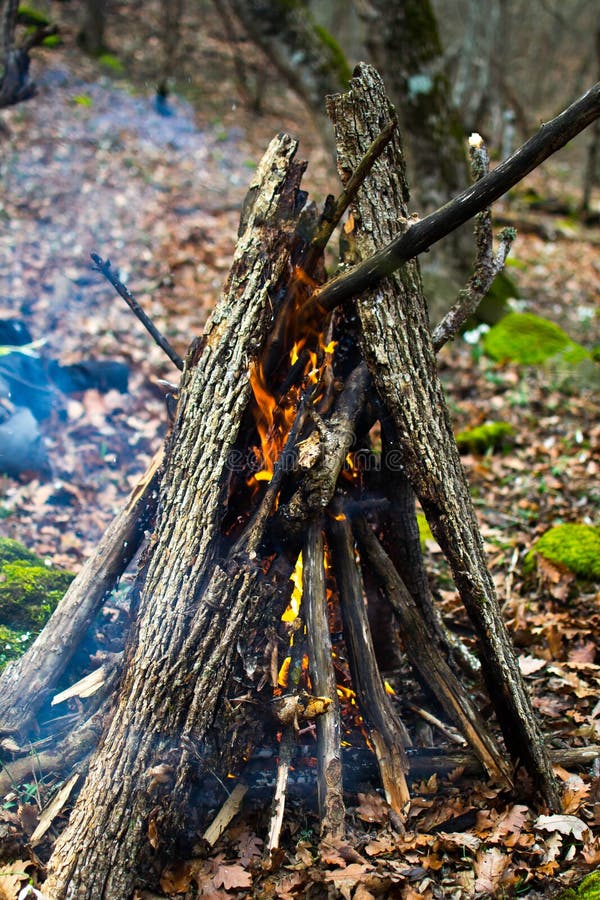 Bonfire in the forest stock photo. Image of orange, dark - 153872200
