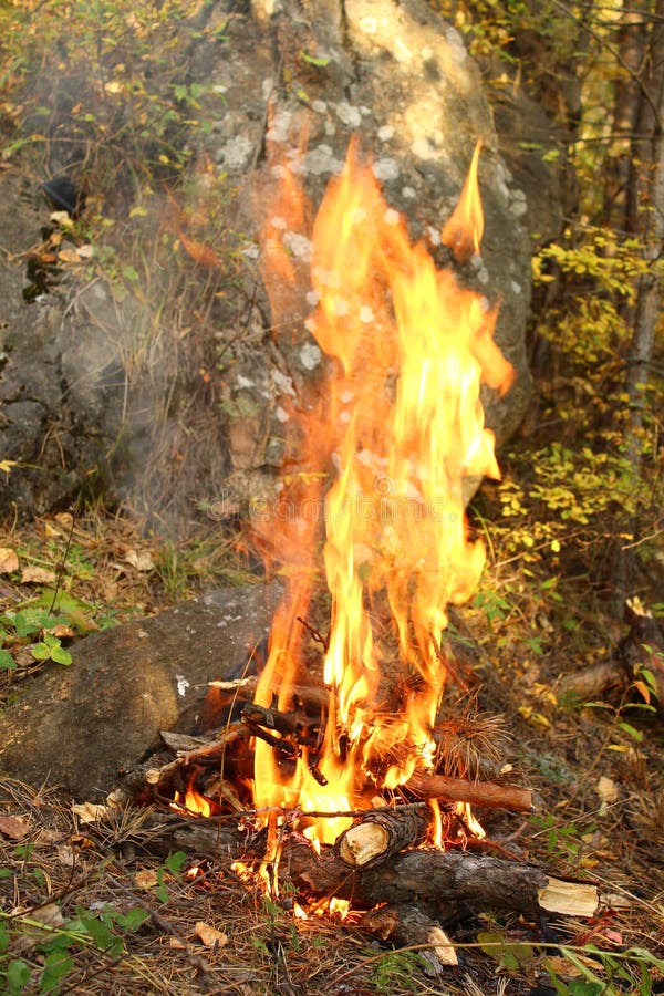 Bonfire in the forest stock image. Image of trekking - 117417747