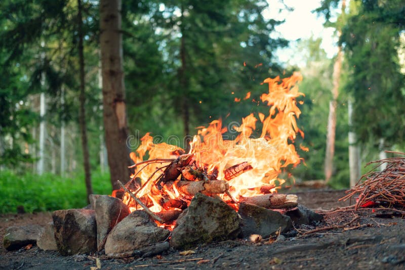 Bonfire in the forest stock image. Image of holiday, park - 32668611