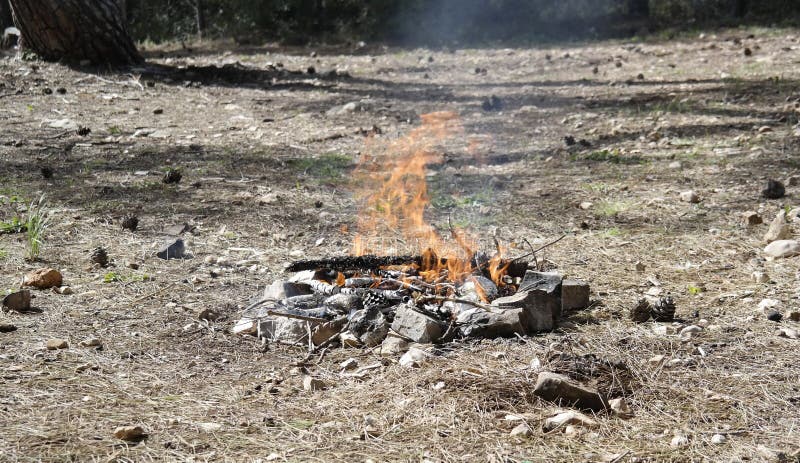 Bonfire in the forest stock photo. Image of element, campfire - 79368080