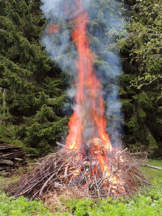 Bonfire on the forest edge stock image. Image of wood - 31415209