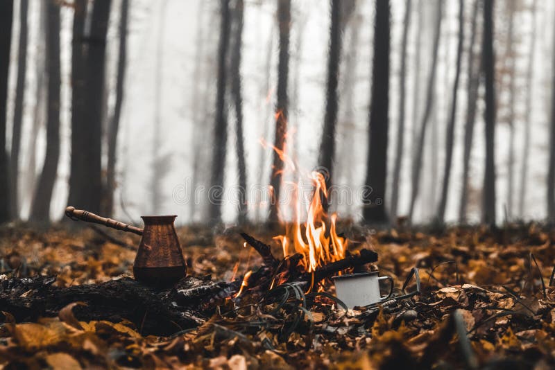 Bonfire in the Forest in the Evening Stock Image - Image of fire, brick ...