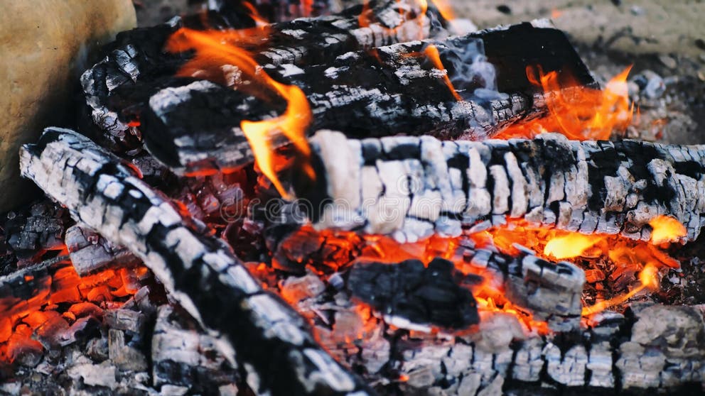 Bonfire in the Forest, Fire Close-up. Close-up Burning Bonfire and ...