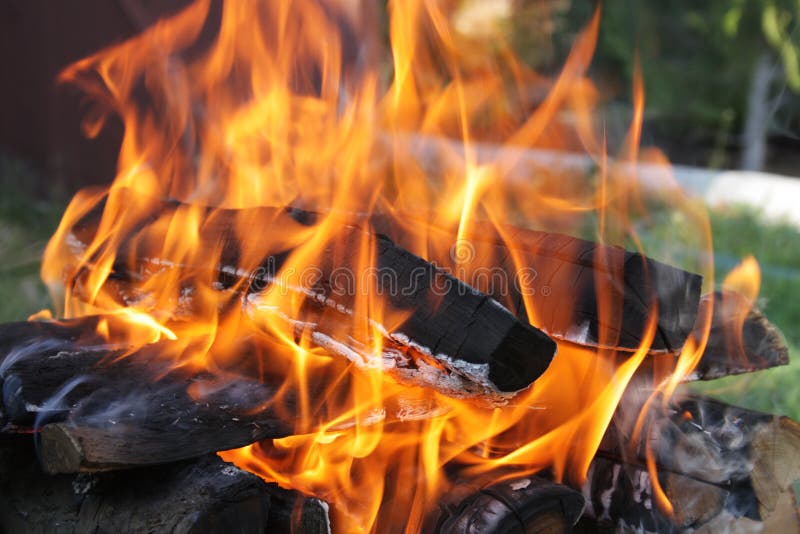 Bonfire in the forest stock photo. Image of campfire - 116749994