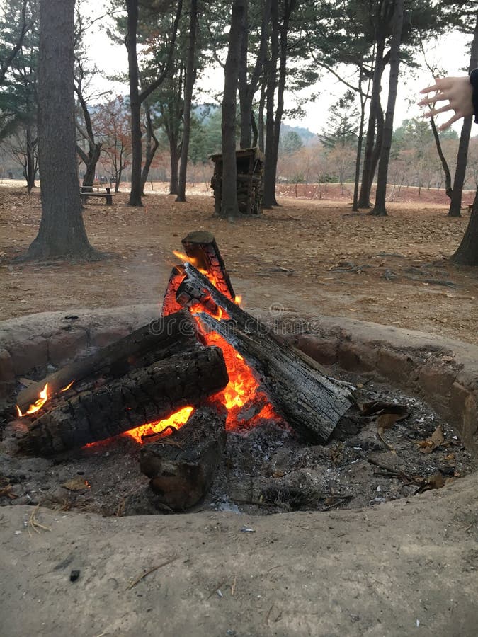 Bonfire in the forest stock image. Image of radar, bonfire - 131901423