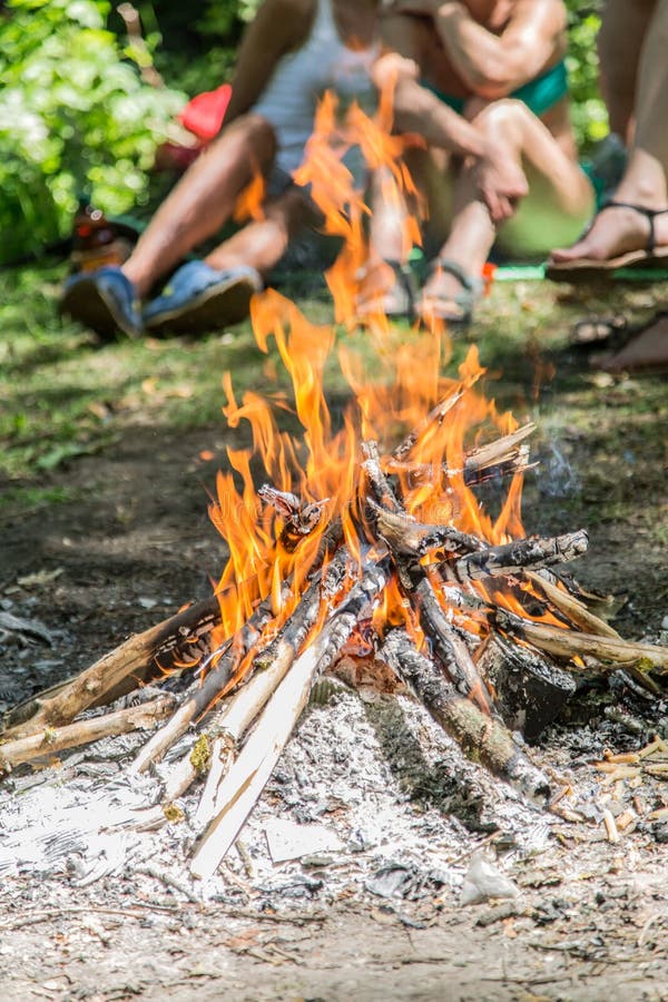 Bonfire in forest, camp stock image. Image of blaze, effects - 14359487