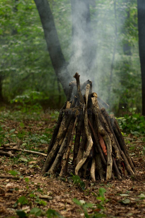 Bonfire in the forest. stock photo. Image of heat, night - 44467600