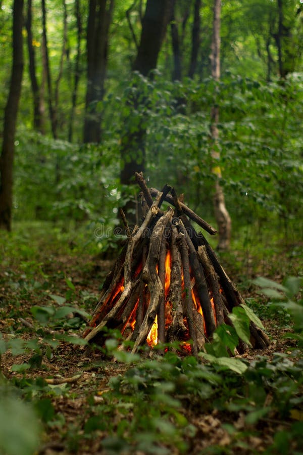 Bonfire in the forest. stock image. Image of district - 44467827