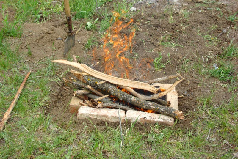 Bonfire in the forest stock image. Image of bright, camp - 82643393