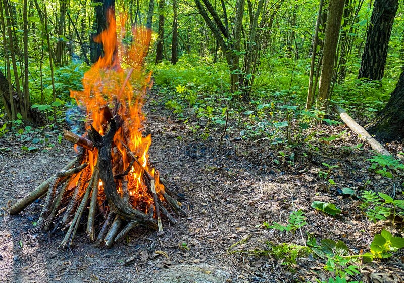 Bonfire in the Forest, Space for Text on the Right Stock Image - Image ...