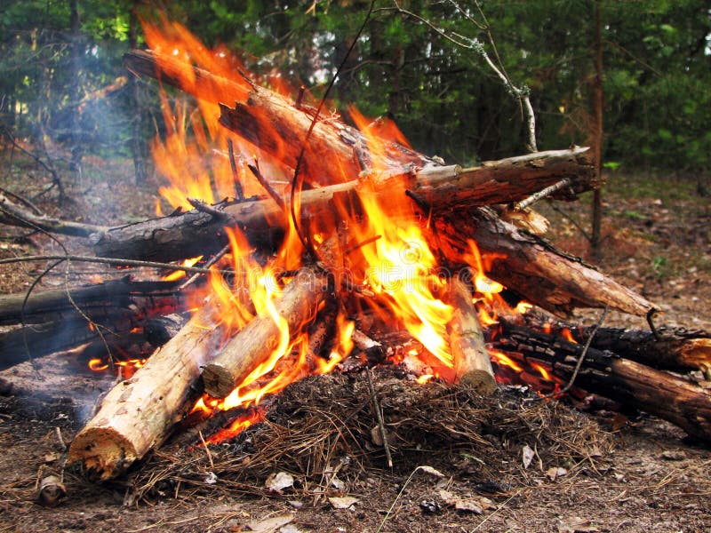 Bonfire in the forest. stock photo. Image of equipment - 57176518