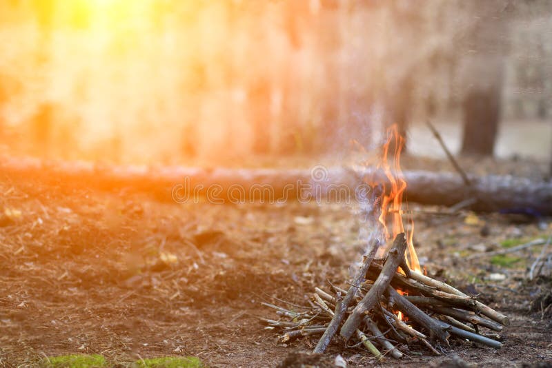 Bonfire in the Forest at Sunset. Space for Text Stock Image - Image of ...