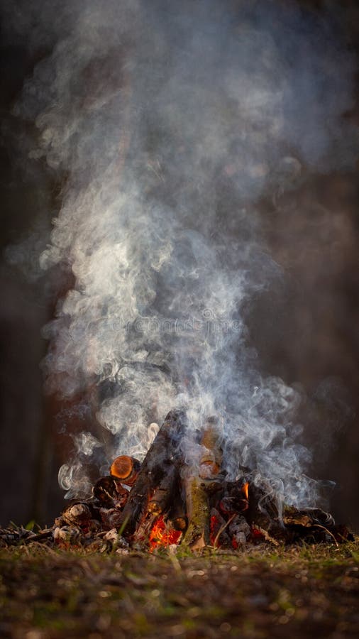 Bonfire in the Forest on Vacation. Fire Hazard Stock Photo - Image of ...