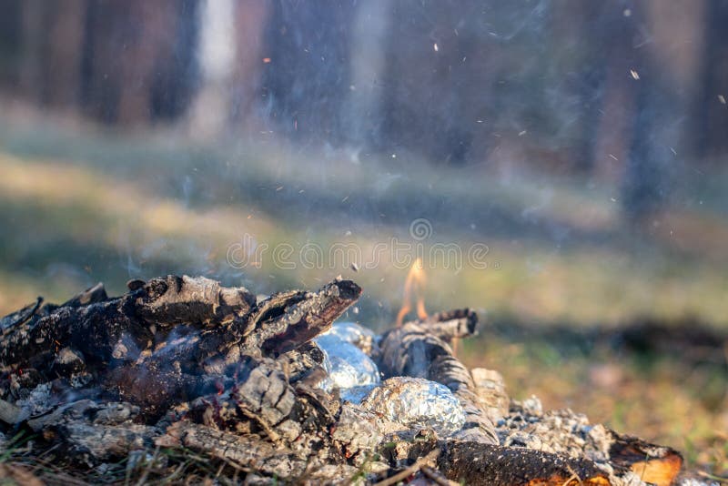 Bonfire in the Forest on Vacation. Fire Hazard Stock Image - Image of ...