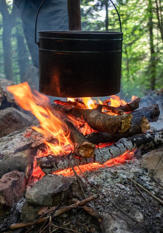 Bonfire in the forest stock photo. Image of tourist - 285610944