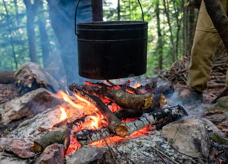 Bonfire in the forest stock image. Image of bonfire - 294307485