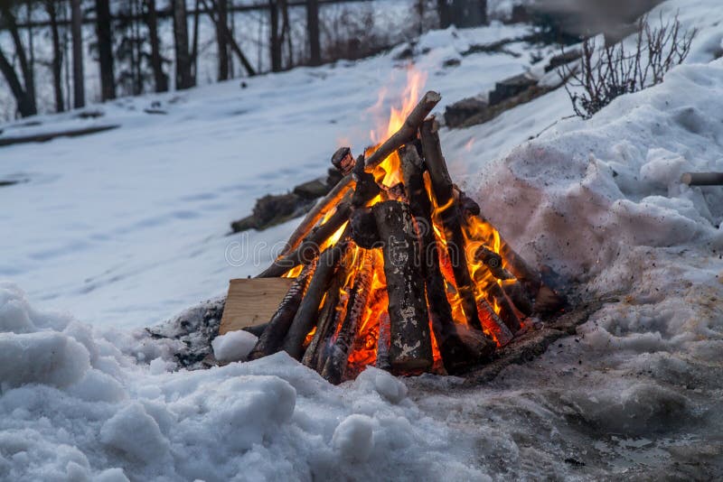 Bonfire in forest stock photo. Image of camp, close, survival - 64431438