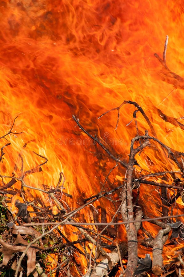 Bonfire stock image. Image of bright, color, embers, energy - 69799609