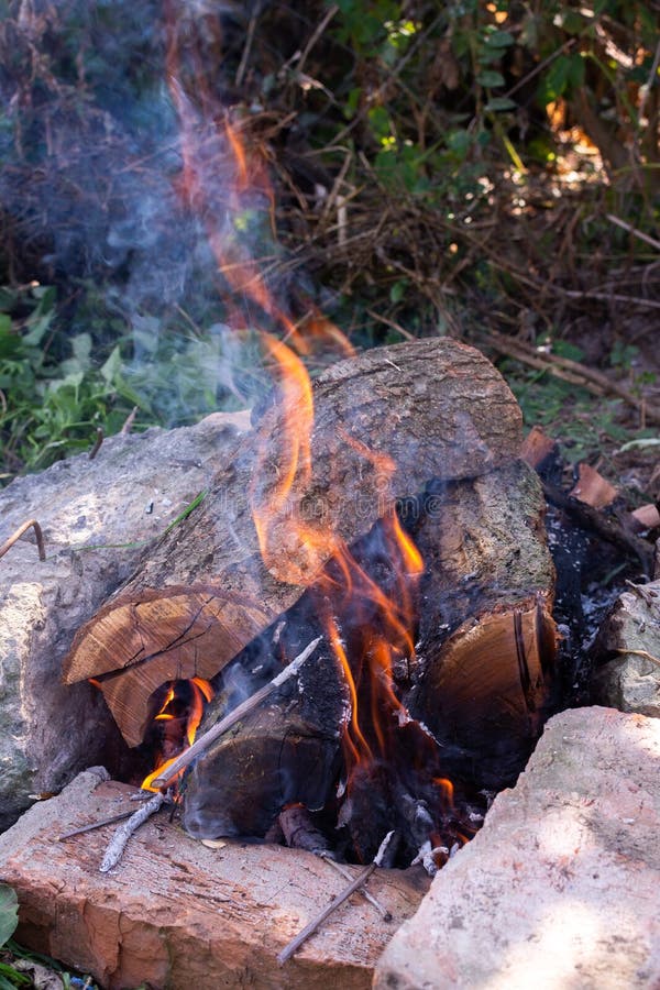 Bonfire in the garden stock image. Image of burn, closeup - 194498597