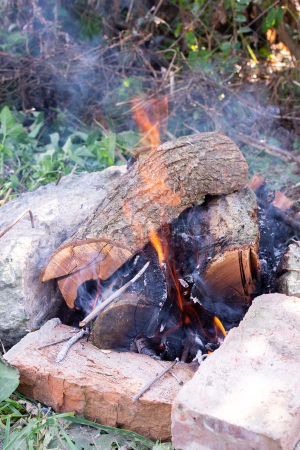Bonfire in the garden stock photo. Image of camp, bright - 194684240