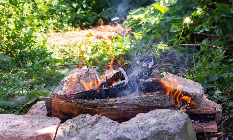 Bonfire in the garden stock photo. Image of picnic, grill - 194684266