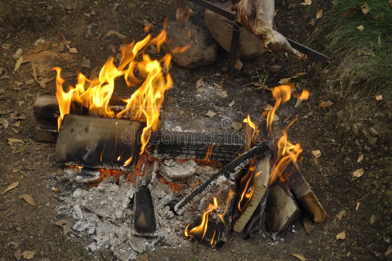 Bonfire stock image. Image of fogata, tierra, brasas - 49295379