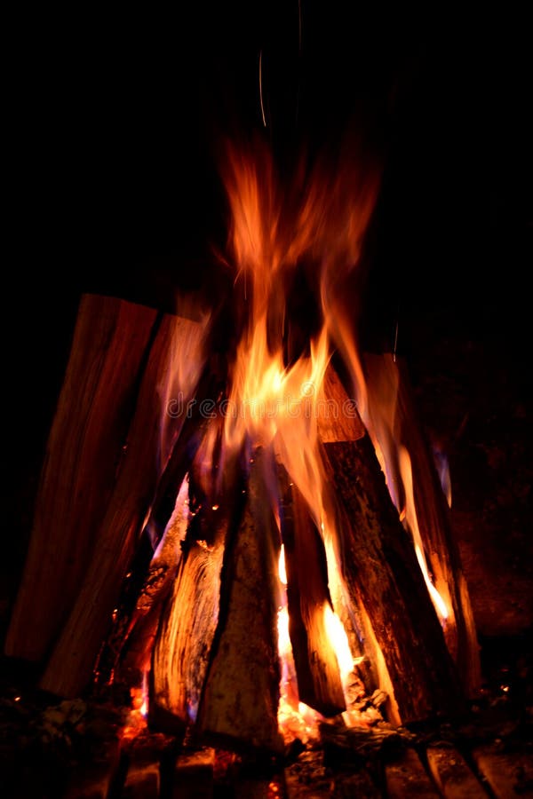 Bonfire stock image. Image of buds, beauty, covered, feast - 63002585