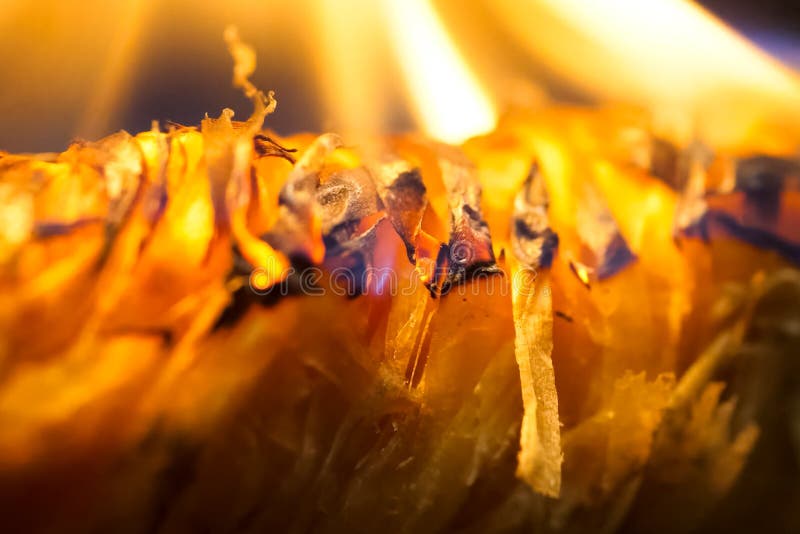 Bonfire Ignition Burning. Material for Igniting Stock Image - Image of ...