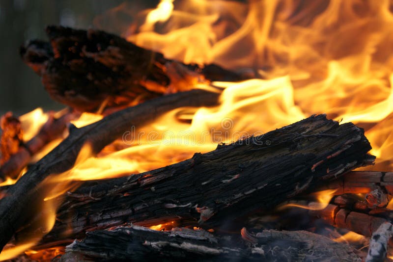 Firebone Stock Photos - Free & Royalty-Free Stock Photos from Dreamstime