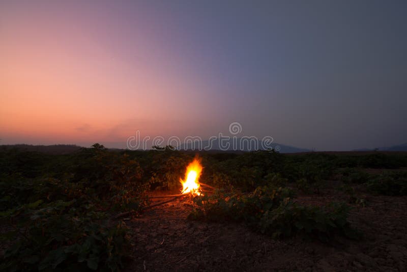 Bonfire at Kenya Africa stock photo. Image of kenya - 102573614