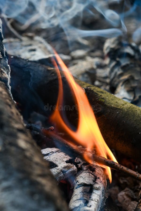 Bonfire stock photo. Image of light, single, campfire - 72246330