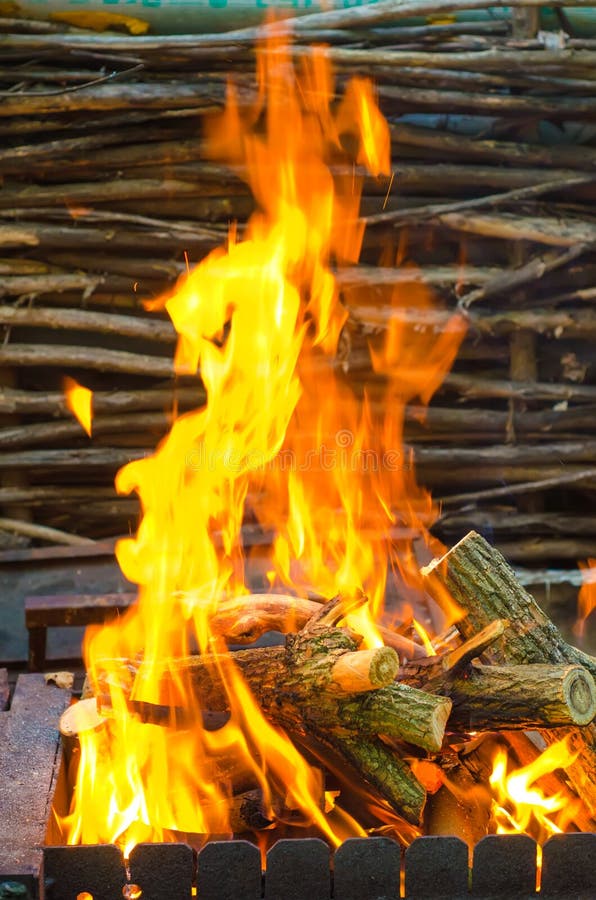 Bonfire light stock photo. Image of camping, nature - 159836966