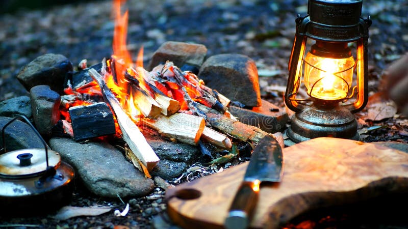Bonfire and Lunch in Forest Stock Photo - Image of lunch, flower: 234089614
