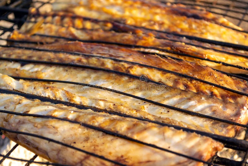 Bonfire mackerel fish stock image. Image of fire, healthy - 178534775