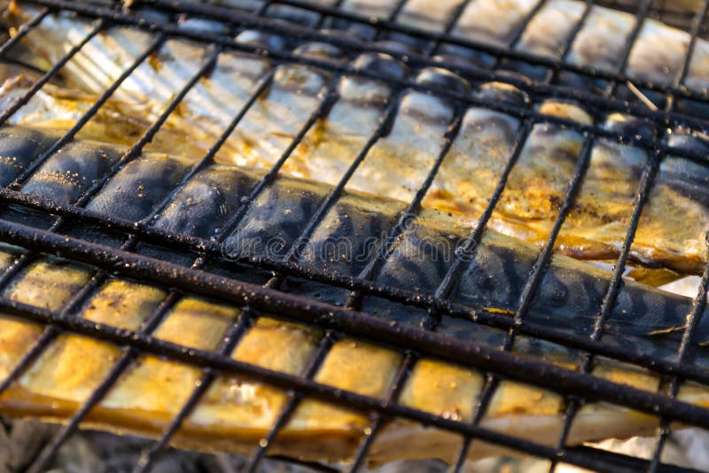 Bonfire mackerel fish stock image. Image of healthy - 178534777