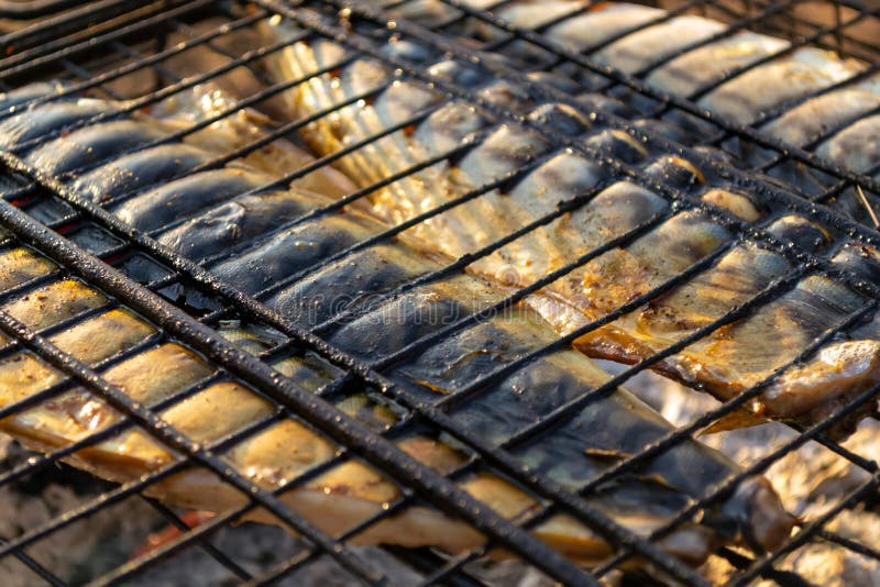 Bonfire mackerel fish stock photo. Image of cook, brazier - 178534880
