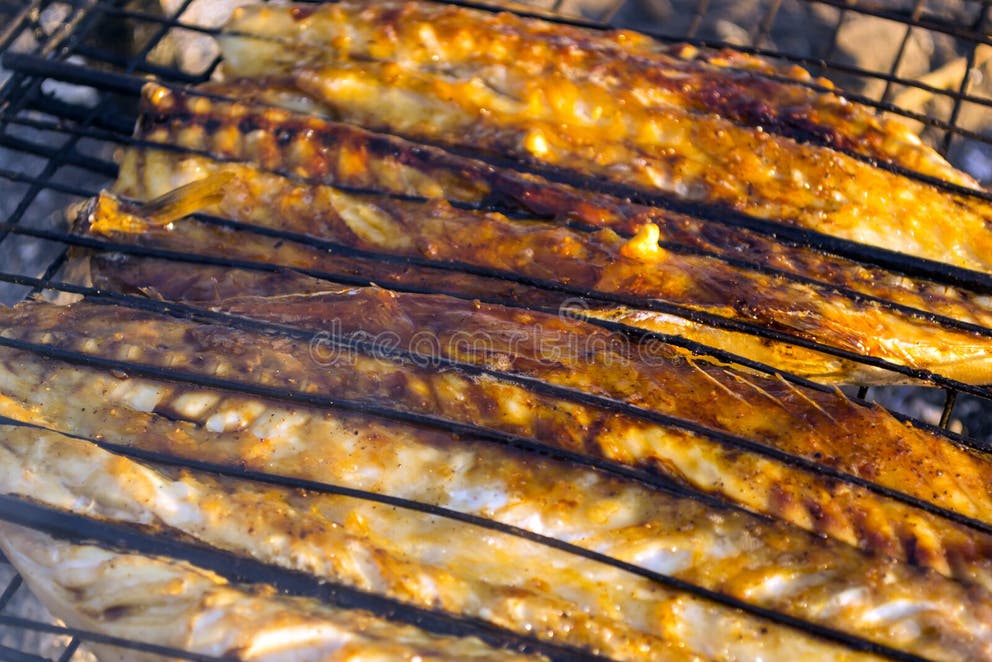 Bonfire mackerel fish stock image. Image of crust, gourmet - 178535113