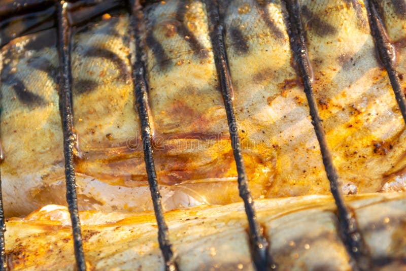 Bonfire mackerel fish stock image. Image of grilled - 178535169