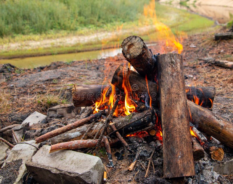Bonfire Made of Pine Sticks and Branches is Burning with Bright Orange ...