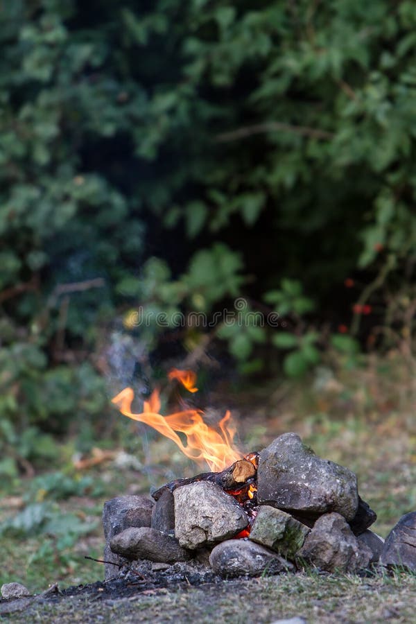 Bonfire on Natural Background Stock Photo - Image of flare, coal: 34034240