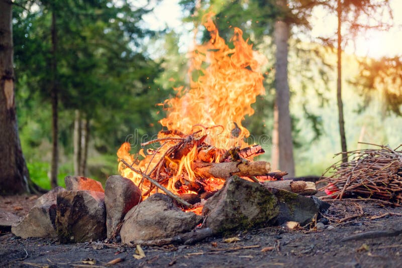Bonfire in the forest stock photo. Image of campus, equipment - 157371174