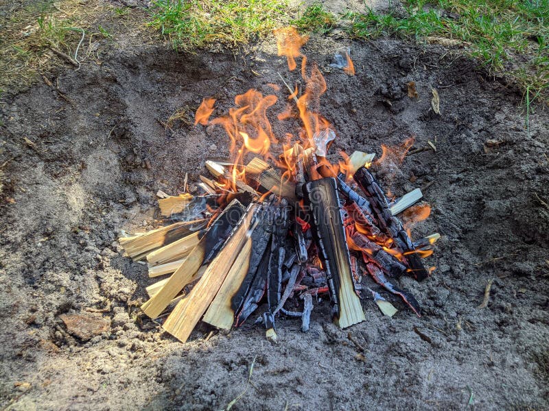 Bonfire of New Firewood Burns during the Daytime in Summer in Nature ...